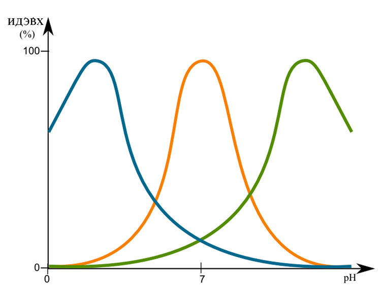 Мэдлээ Цахим контент